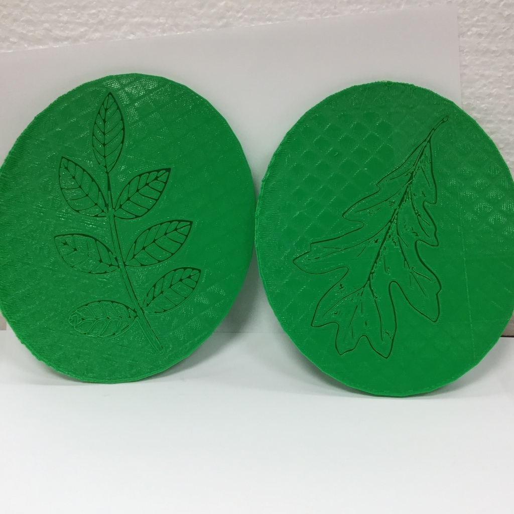 Free 3D file Leaf Identification Lesson・3D printing design to download ...