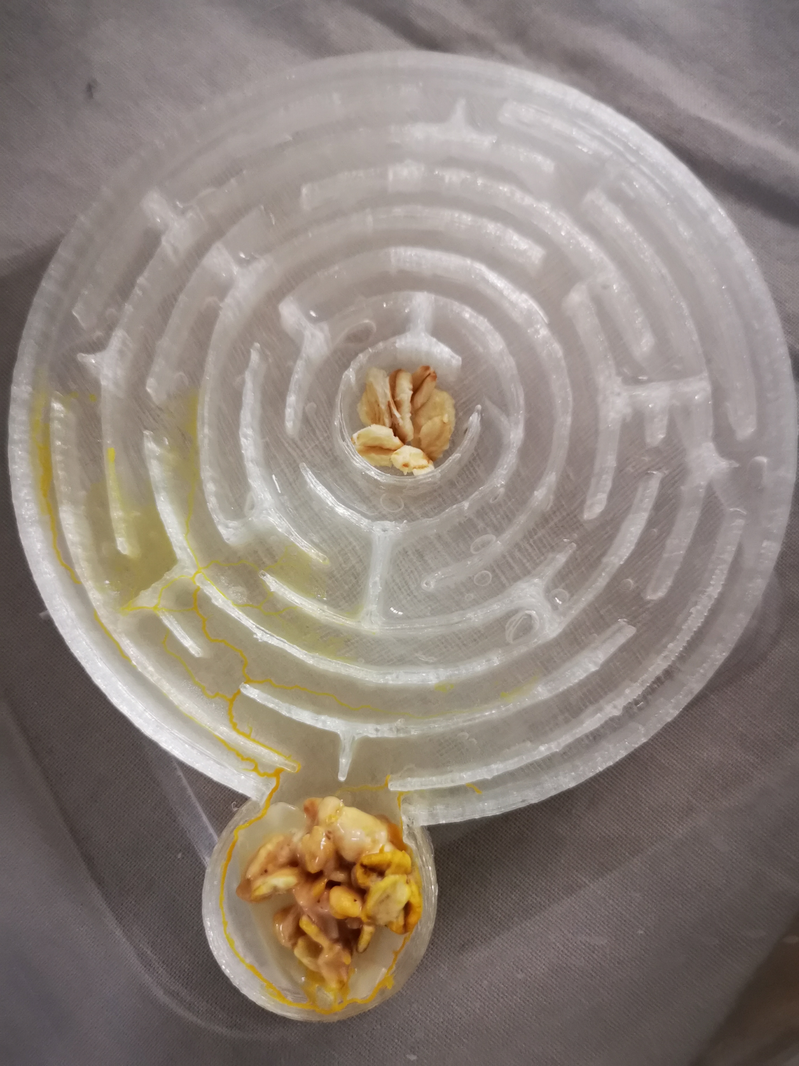 Free STL file Bob the Blob Maze・Object to download and to 3D print・Cults