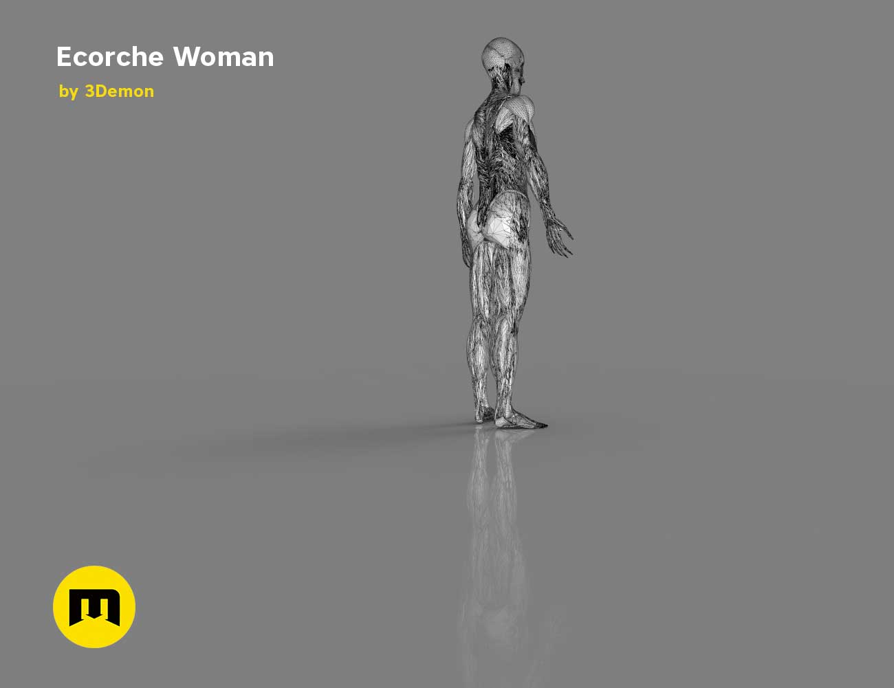 OBJ file Human model Ecorche woman 👩・3D printing model to download・Cults