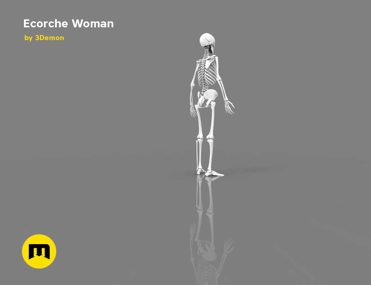 OBJ file Human model Ecorche woman 👩・3D printing model to download・Cults