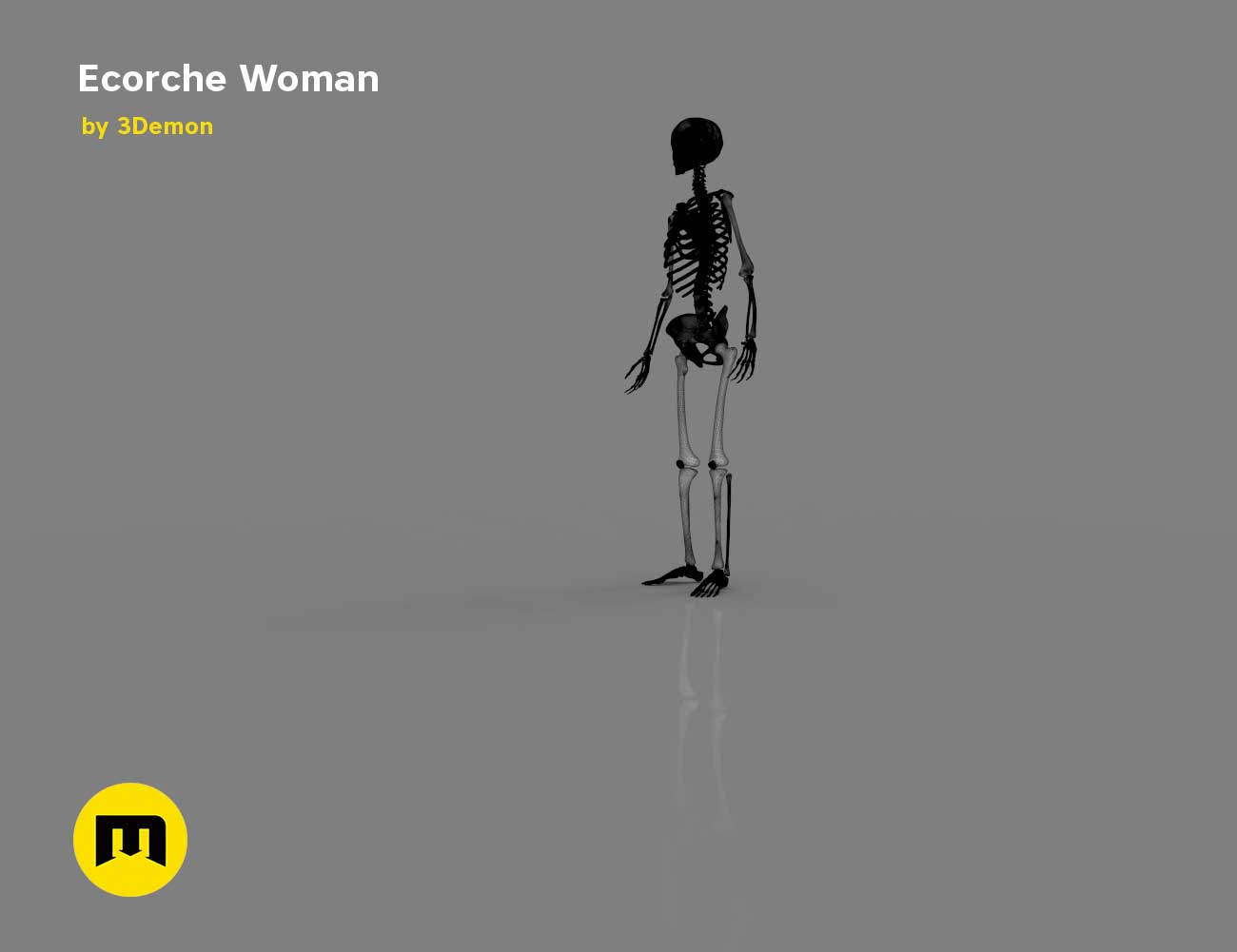 OBJ file Human model Ecorche woman 👩・3D printing model to download・Cults