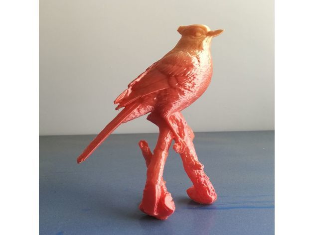 Free STL file a bird blue jay・3D printing design to download・Cults