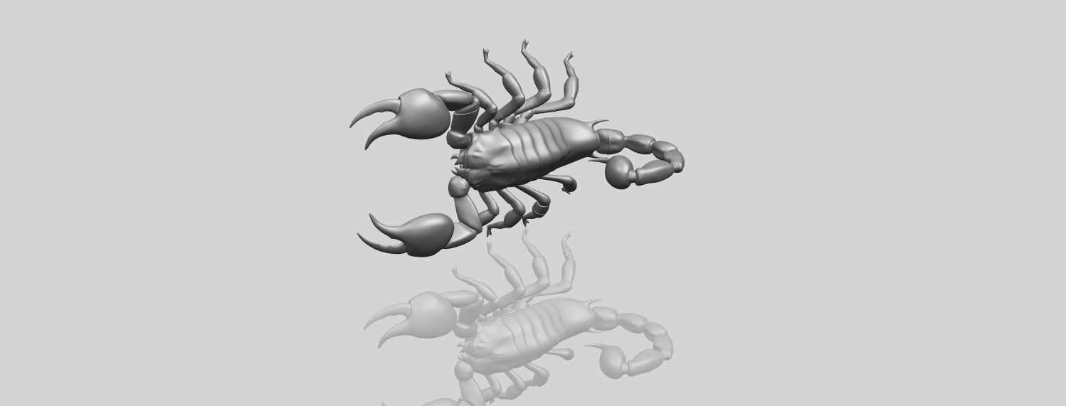 Free 3D file Scorpion 🦂・3D printable model to download・Cults