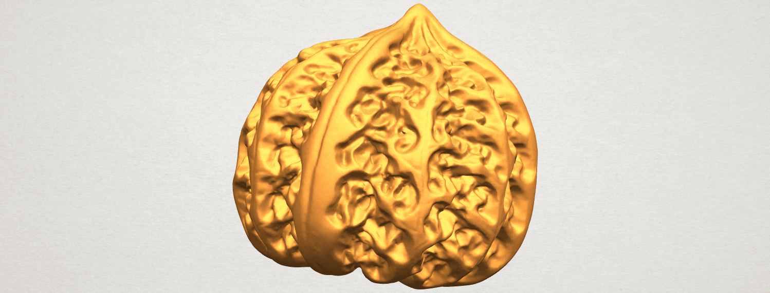 Free 3D file Walnut・Model to download and 3D print・Cults