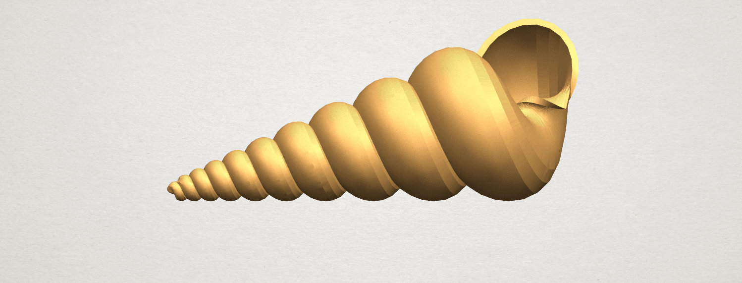 Free 3D file spiral shell・3D printable design to download・Cults