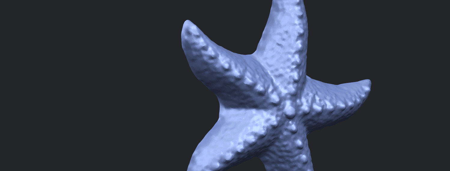 Download free STL file Starfish 03 • 3D printing design ・ Cults