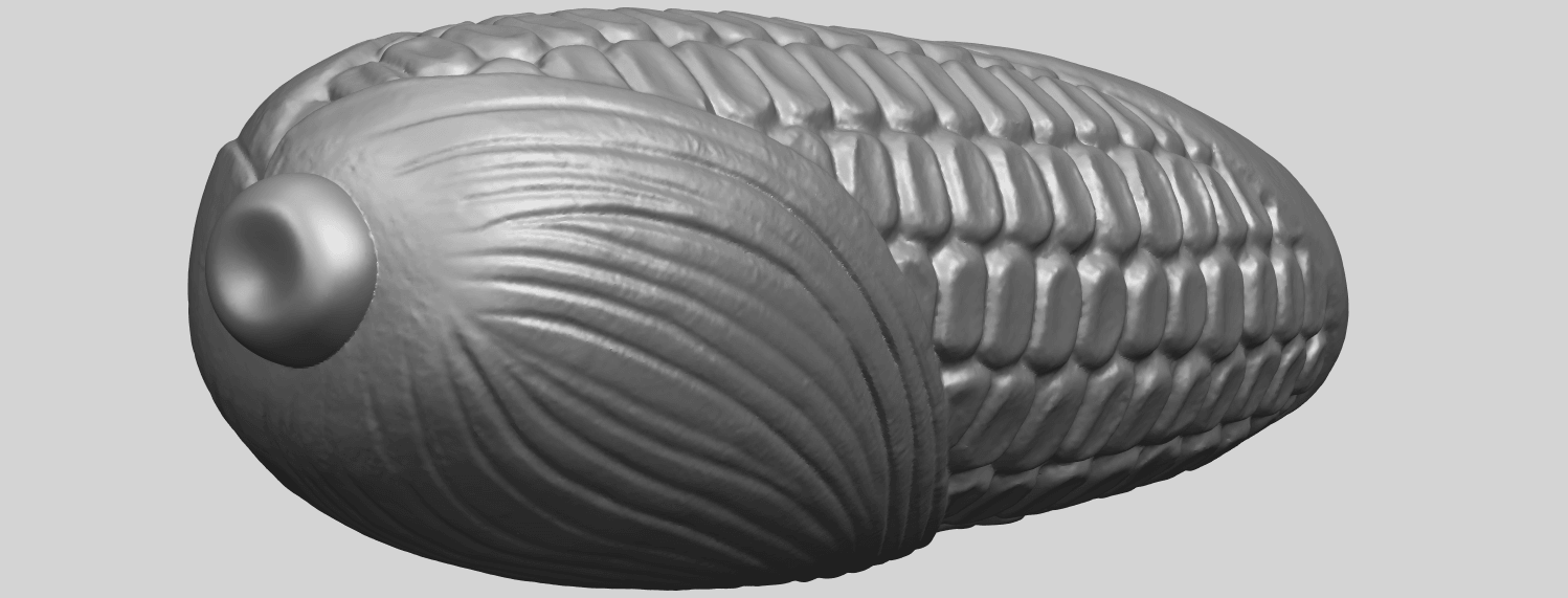 Download free STL file Corn • 3D printing model ・ Cults