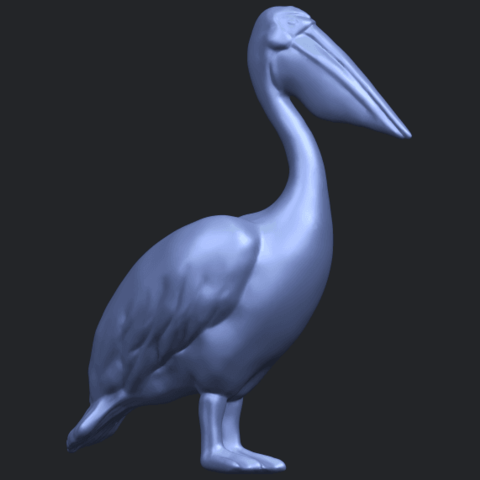 Download free 3D model Pelican ・ Cults