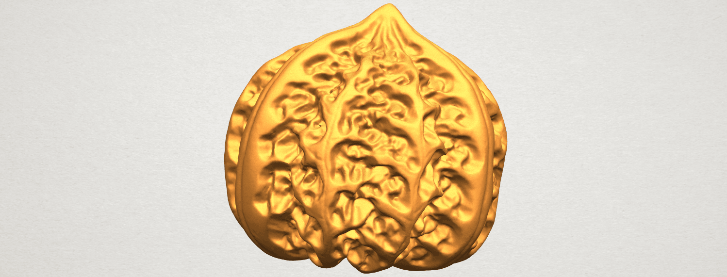 Free 3D file Walnut・Model to download and 3D print・Cults