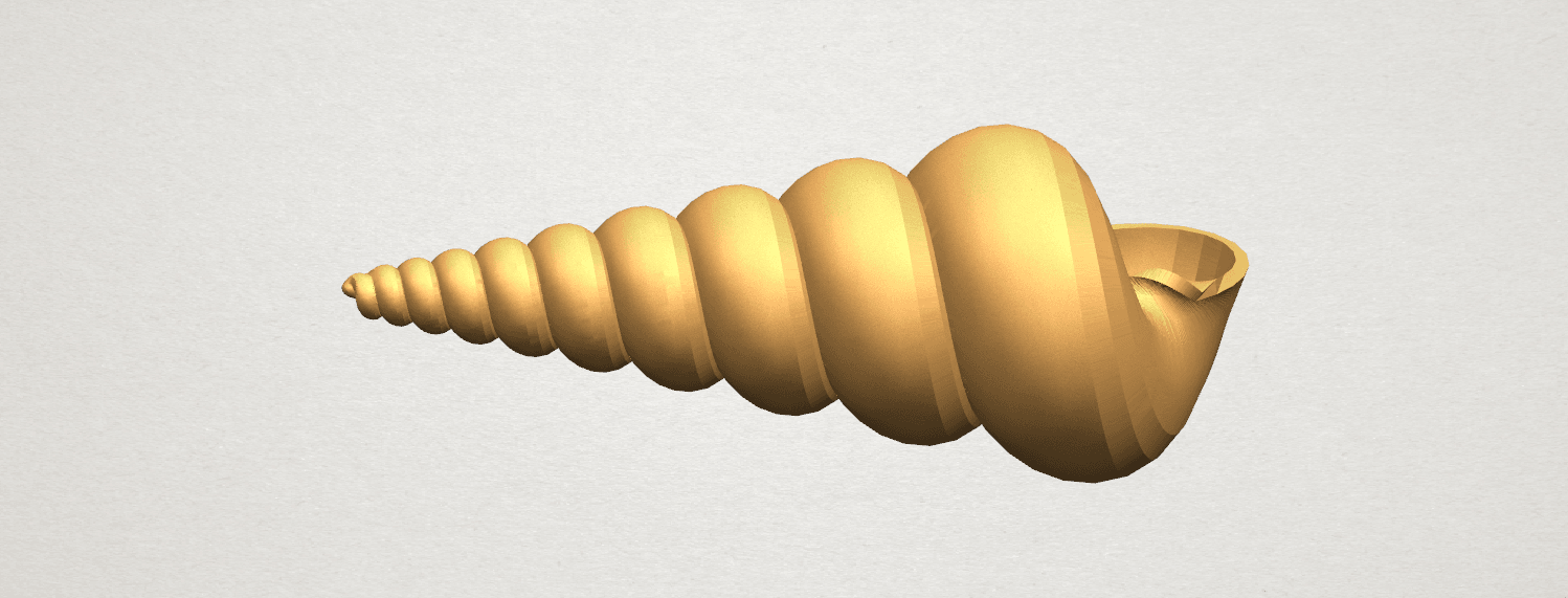 Free 3D file spiral shell・3D printable design to download・Cults