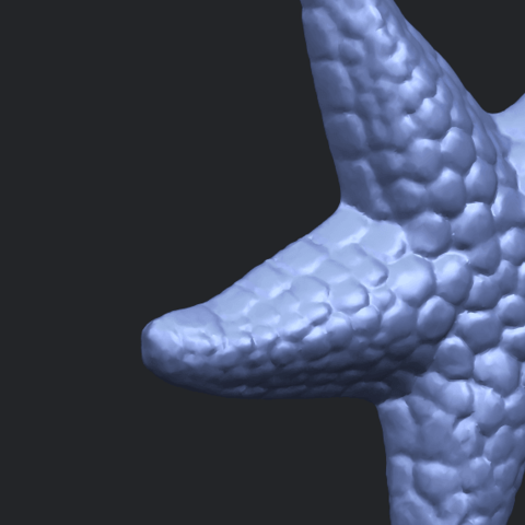 Download free STL file Starfish 02 • 3D printer design ・ Cults