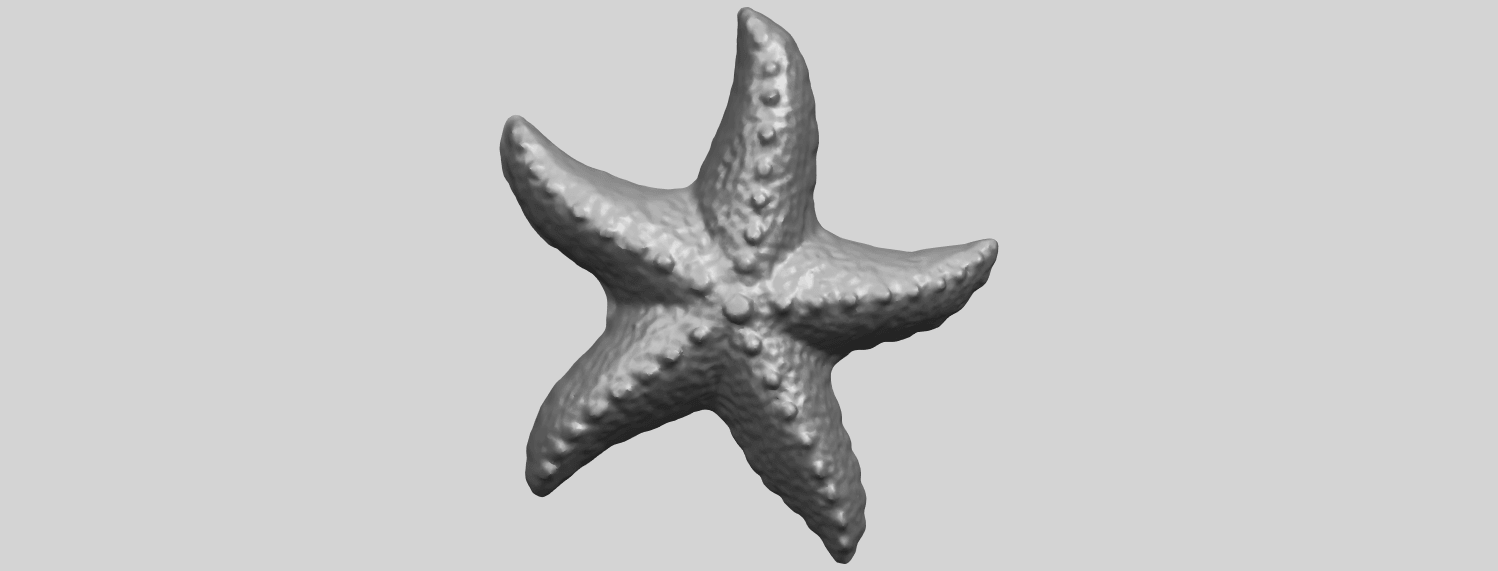 Download free STL file Starfish 03 • 3D printing design ・ Cults