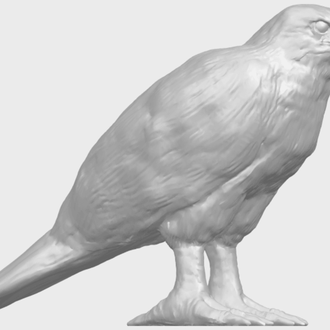 Download free STL file Eagle 02 • 3D printable design ・ Cults
