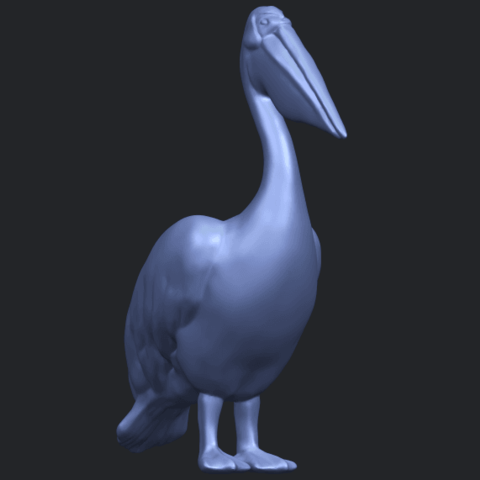 Download free 3D model Pelican ・ Cults