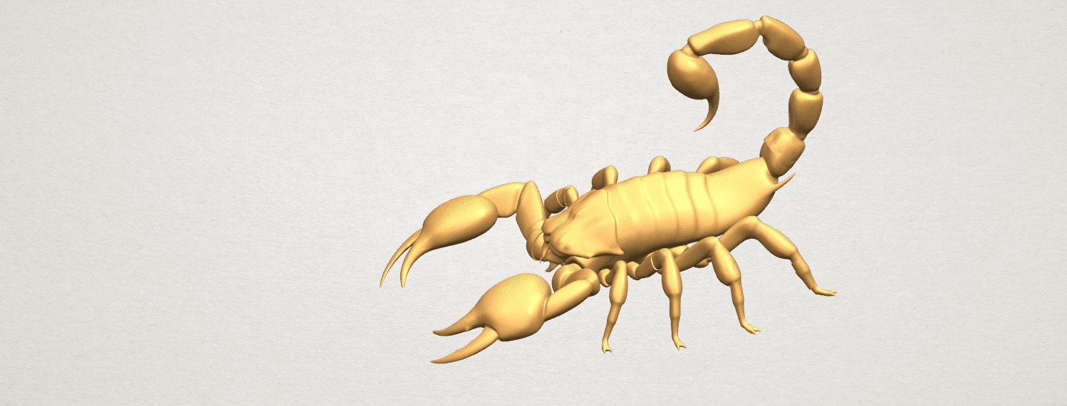 Download free STL file Scorpion • 3D print design ・ Cults