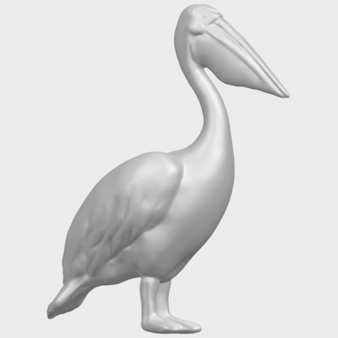 Download free 3D model Pelican ・ Cults