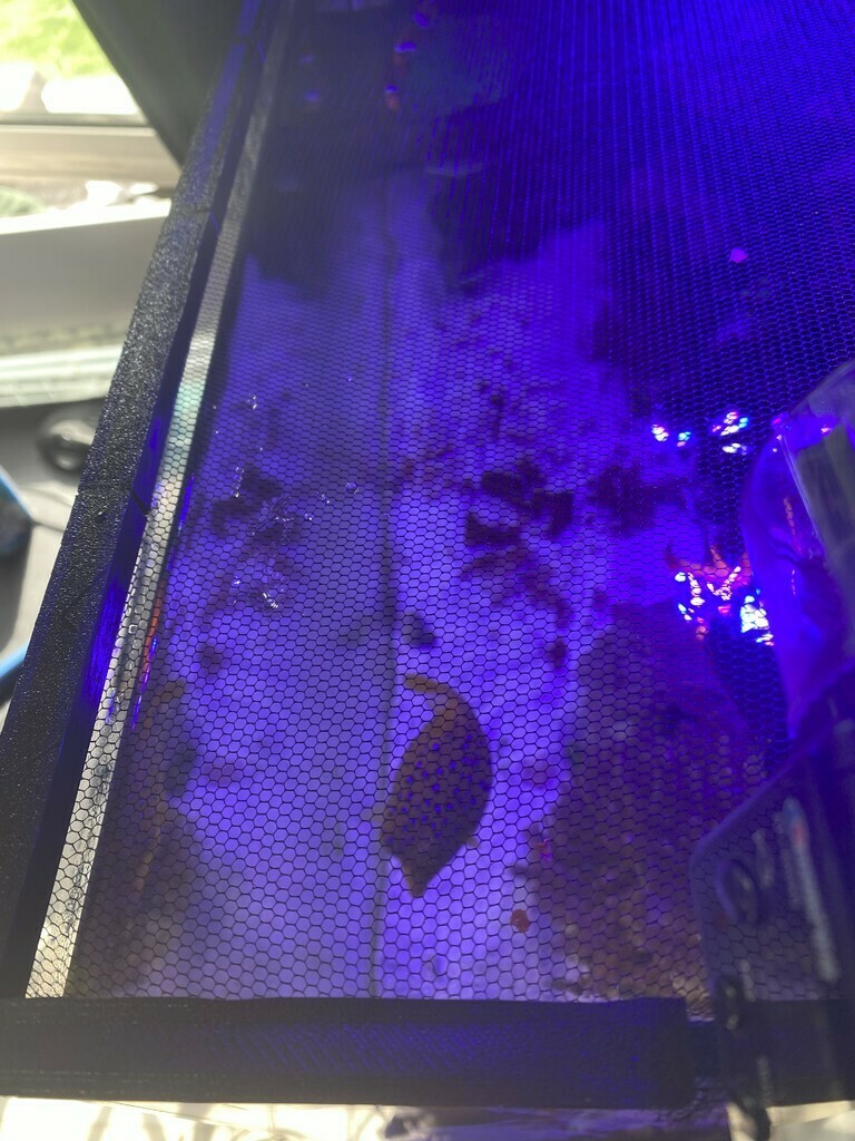 Free 3D file Aquarium 8mm Window mesh cover clamps・Model to download ...