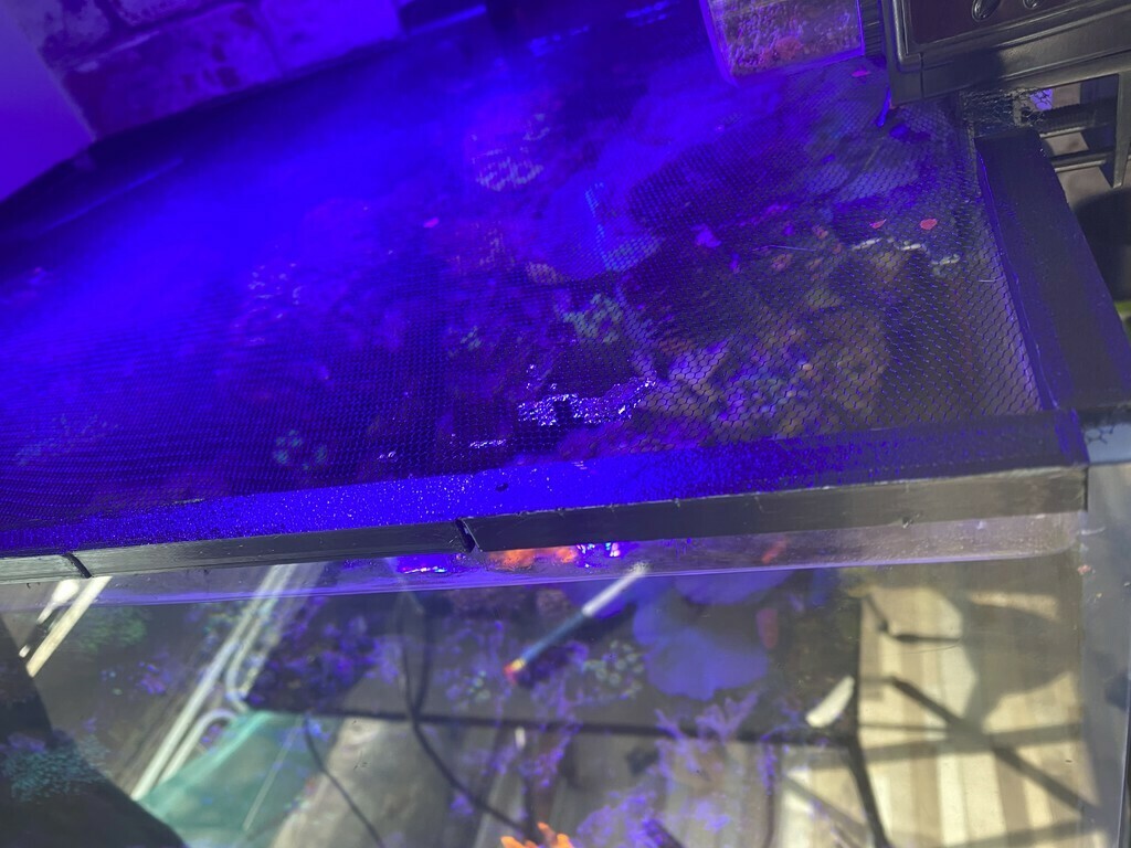 Free 3D file Aquarium 8mm Window mesh cover clamps・Model to download ...