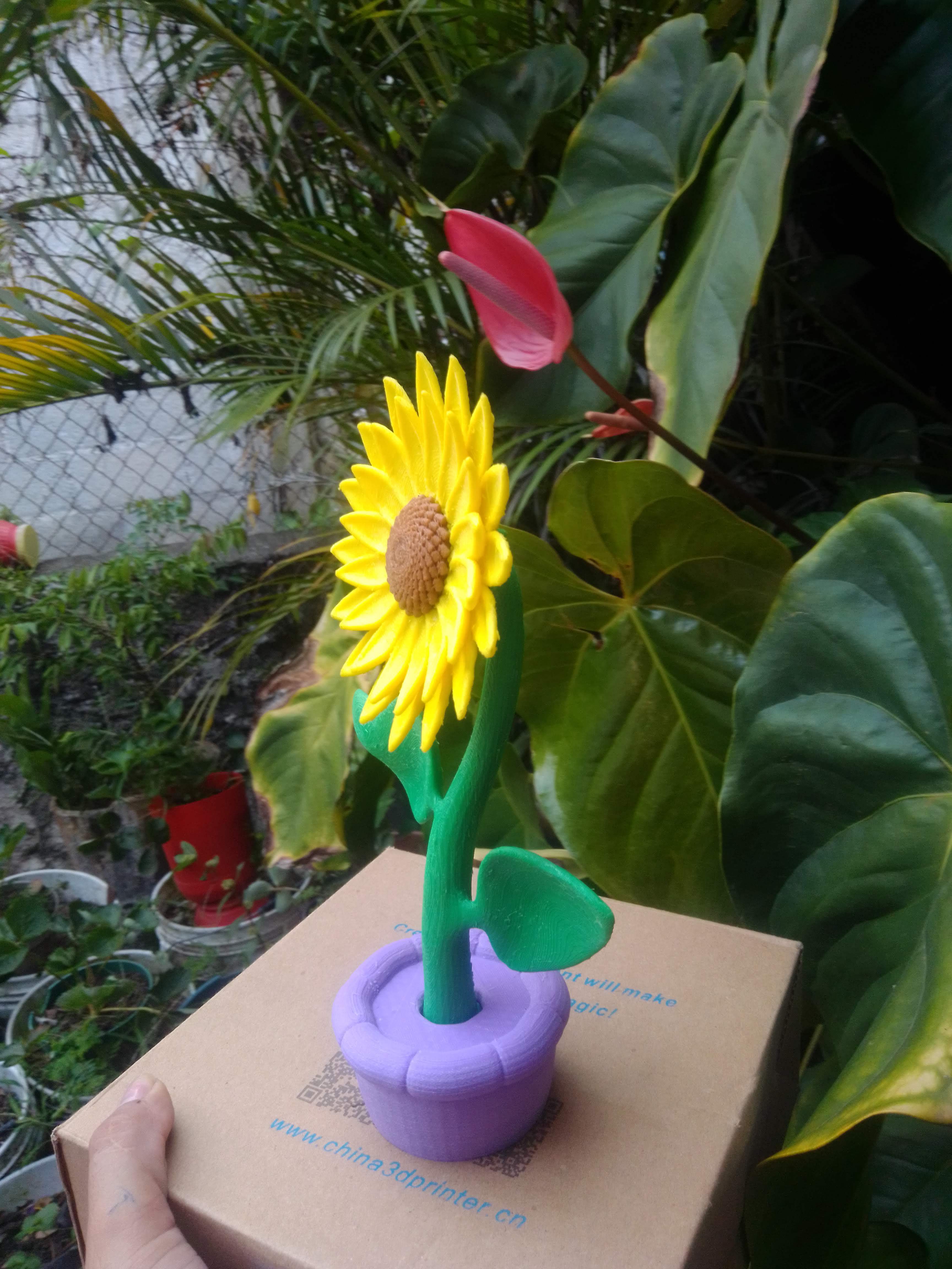 Free 3D file sunflower flower plant・3D printable design to download・Cults