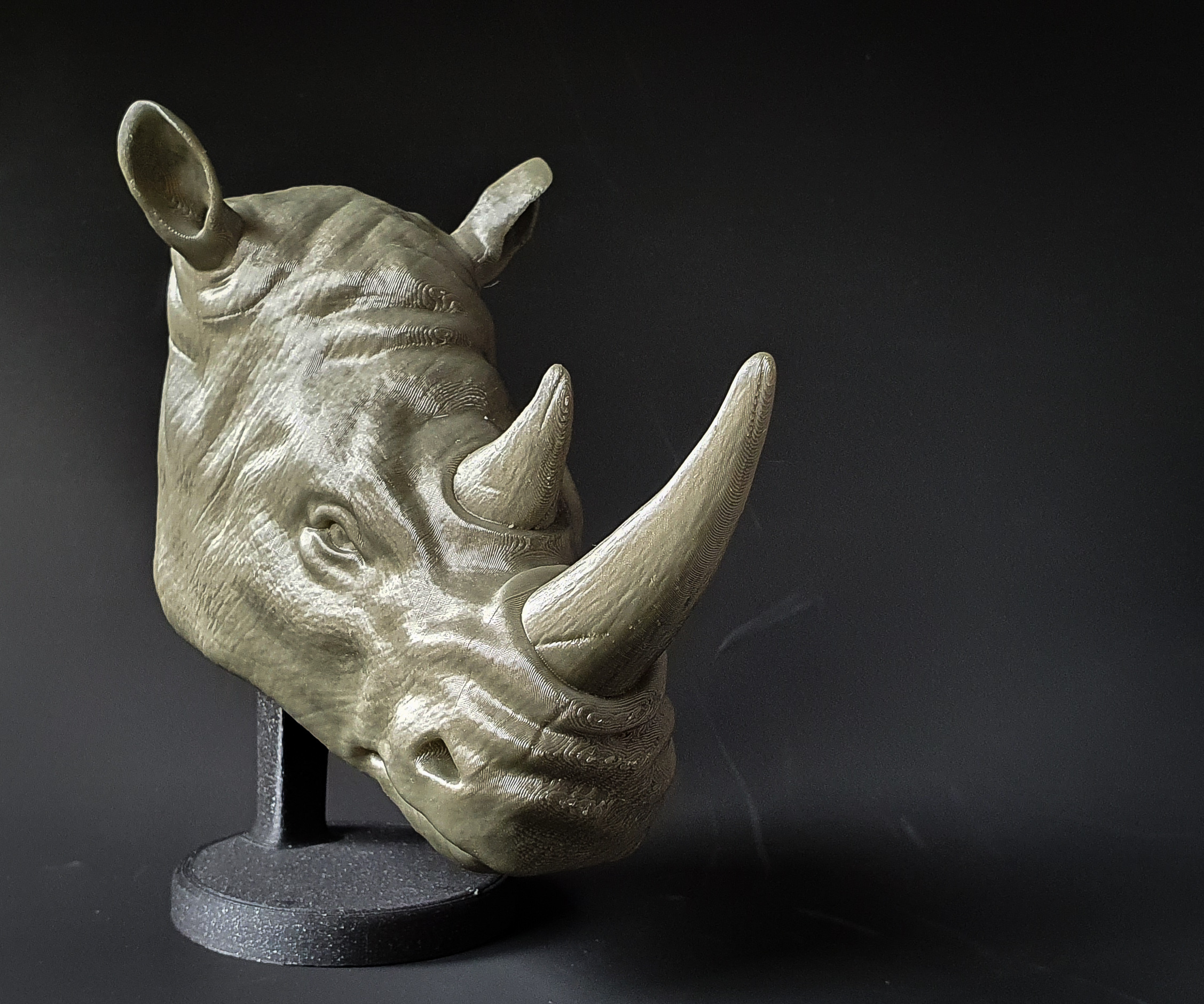 STL file Rhinoceros・Model to download and 3D print・Cults