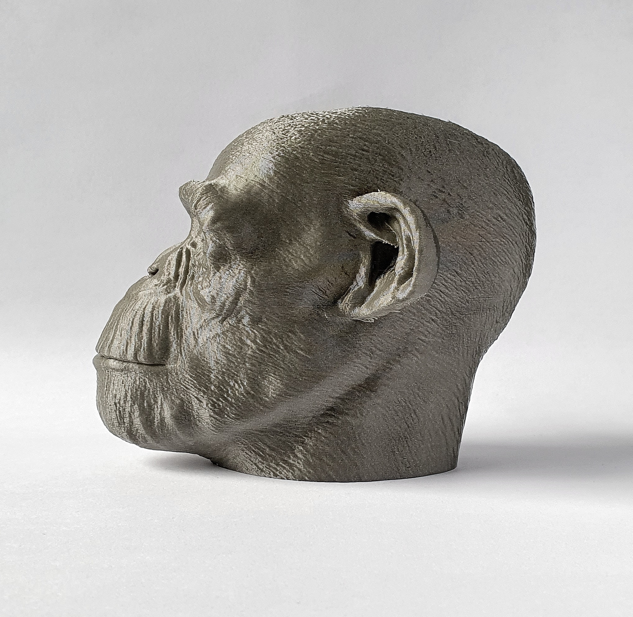 STL file My man the Chimp・3D printer design to download・Cults