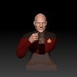 Download 3D model Captain Pickard ・ Cults