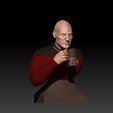 Download 3D model Captain Pickard ・ Cults