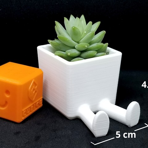 Download free STL file Succulent Planter / 3D printed planter / Legged ...