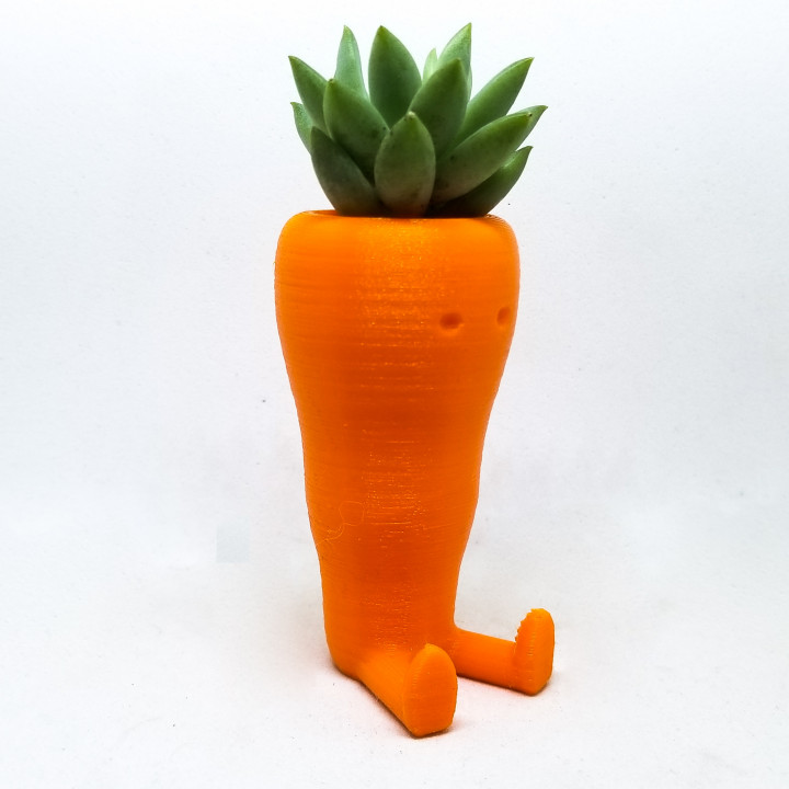 Free STL file Cute Carrot Shaped Succulent planter・3D printing model to ...