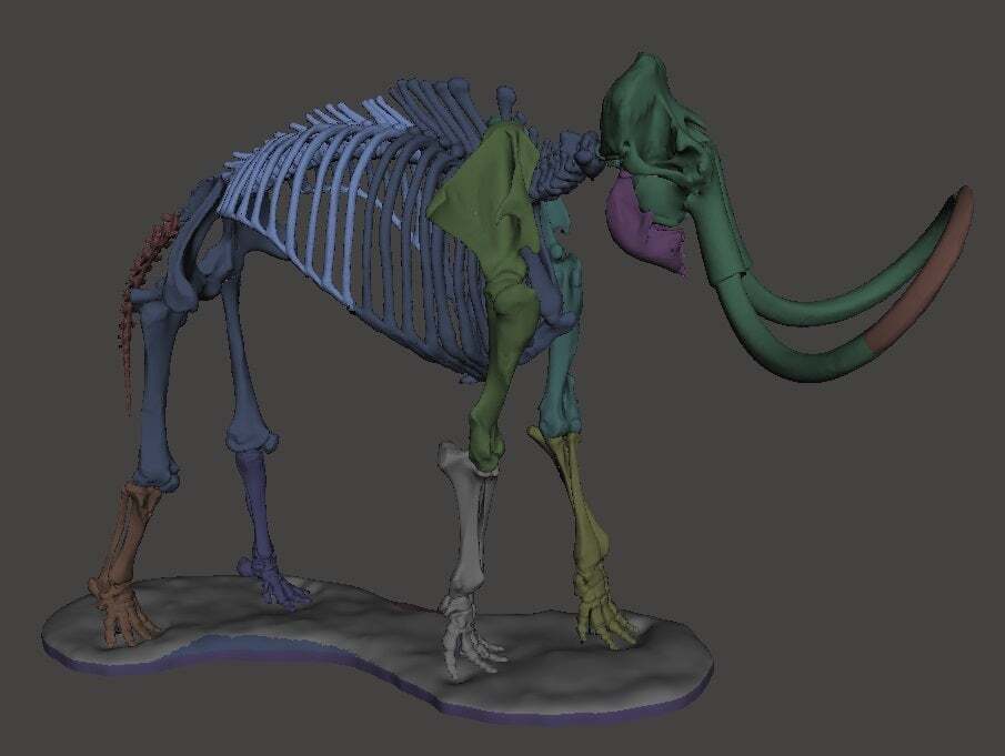 Free STL file Woolly Mammoth Skeleton 🦣・3D printable object to download ...