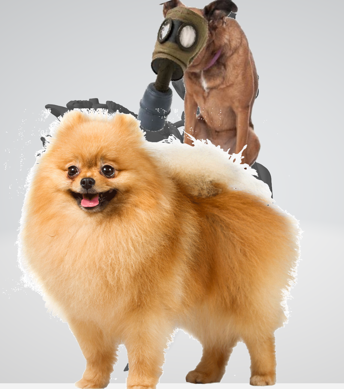 Free 3D file Todesreiter Pose 1-5 🎲・3D print model to download・Cults