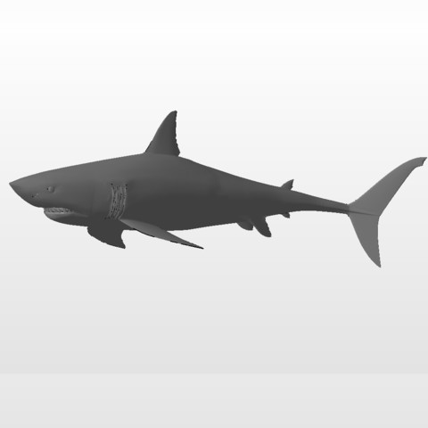 Download STL files Shark - shark ・ Cults