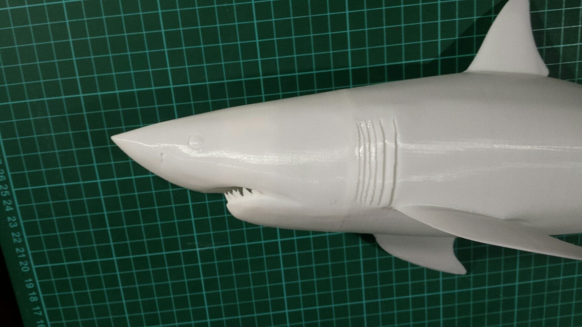 Descargar archivo STL Tiburon - shark • Plan de la impresora 3D ・ Cults