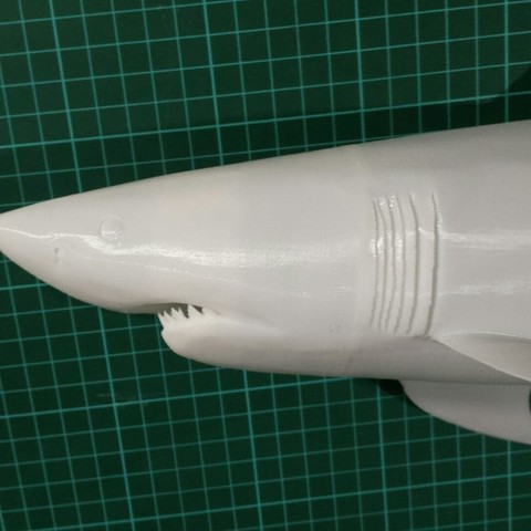 Download STL files Shark - shark ・ Cults