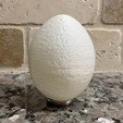 Download free 3D printing files Real Easter Eggs ・ Cults