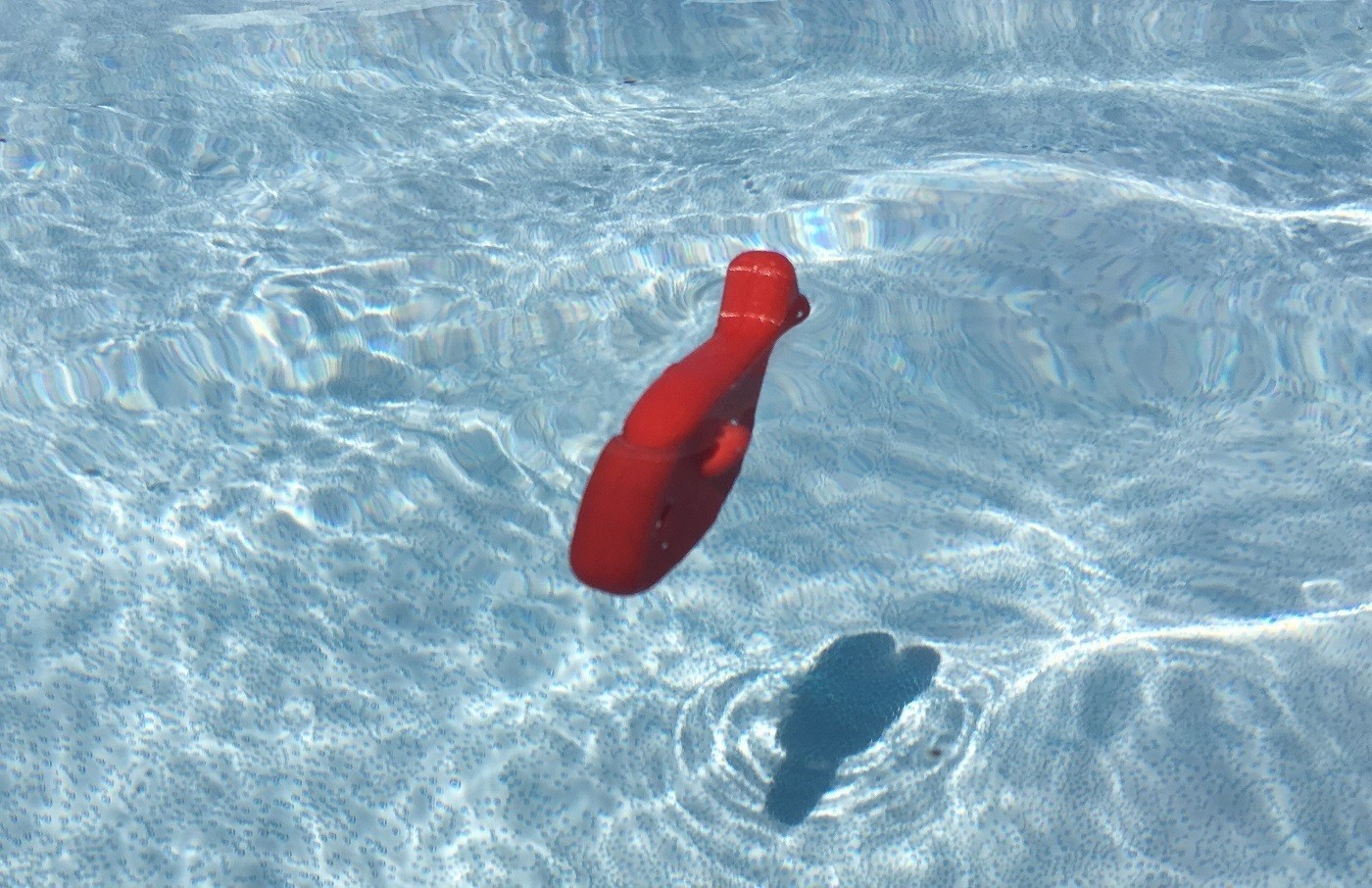 Free STL file Pool-Fish・3D printing idea to download・Cults