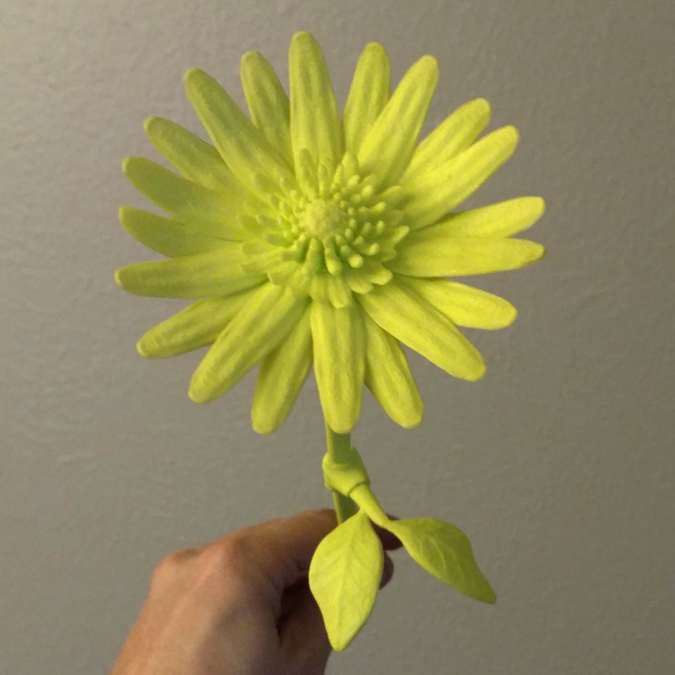 Free STL file Daisy - Flat flower 💐・3D printing model to download・Cults
