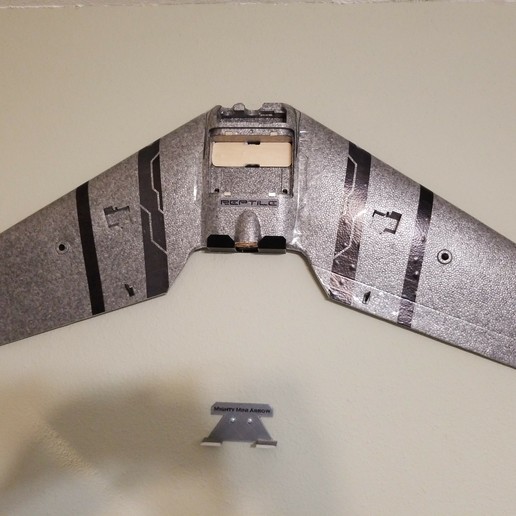 Download free 3D printer model S800 Reptile Wing Wall Mount ・ Cults