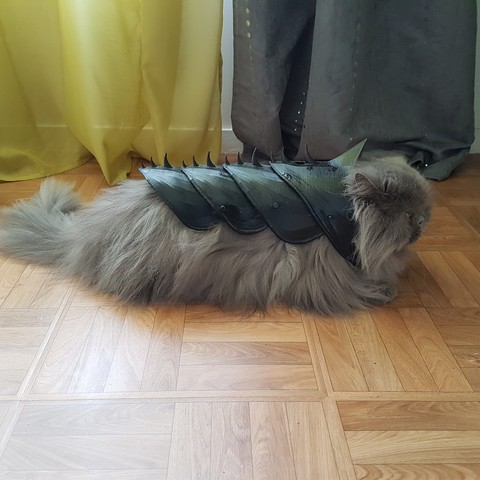 3D printer CAT ARMOR • made with Dagoma discovery 200 ・ Cults