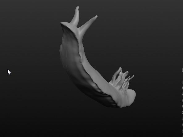 Free STL file 海蛞蝓Sea slugs by orangeteacher・3D printer design to ...