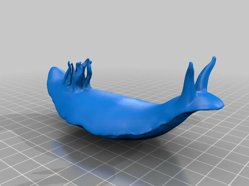 Free STL file 海蛞蝓Sea slugs by orangeteacher・3D printer design to ...