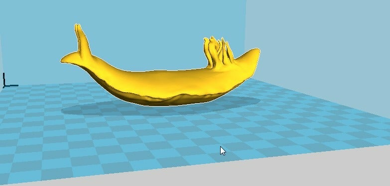 Free STL file 海蛞蝓Sea slugs by orangeteacher・3D printer design to ...