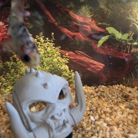 Download STL file Motorhead decay head • 3D print object ・ Cults