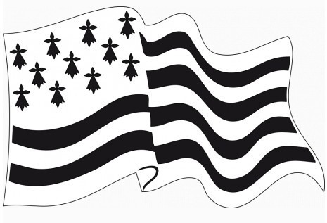 STL file Breton flag 🎨・3D print model to download・Cults