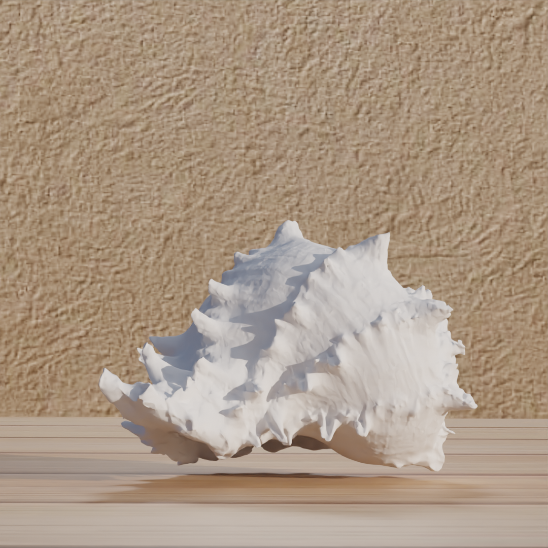 3D file File : Shell reproduction - Conch shell in digital format・3D ...