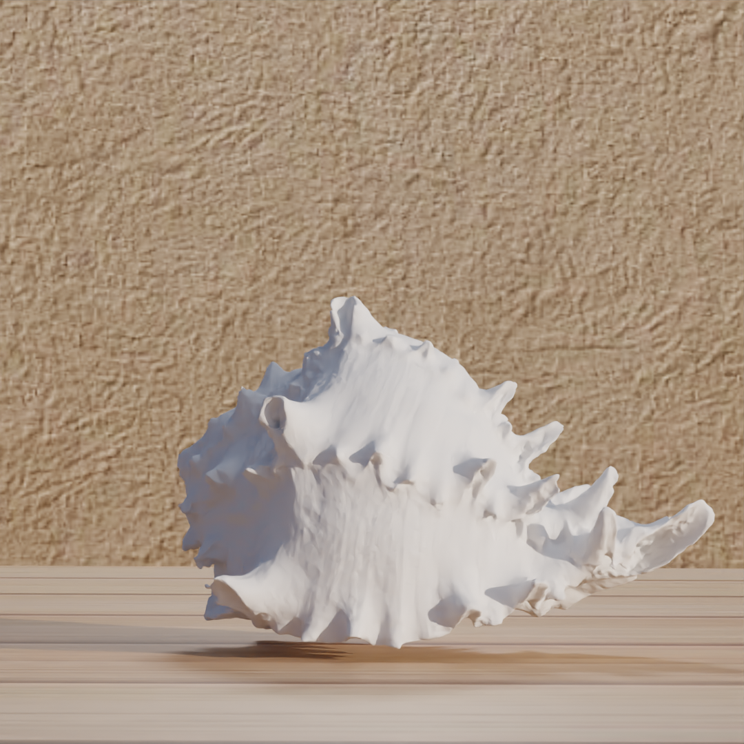 3D file File : Shell reproduction - Conch shell in digital format・3D ...