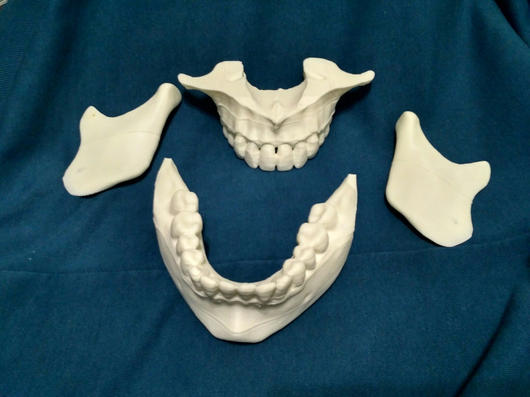 STL file Skull・3D printer model to download・Cults