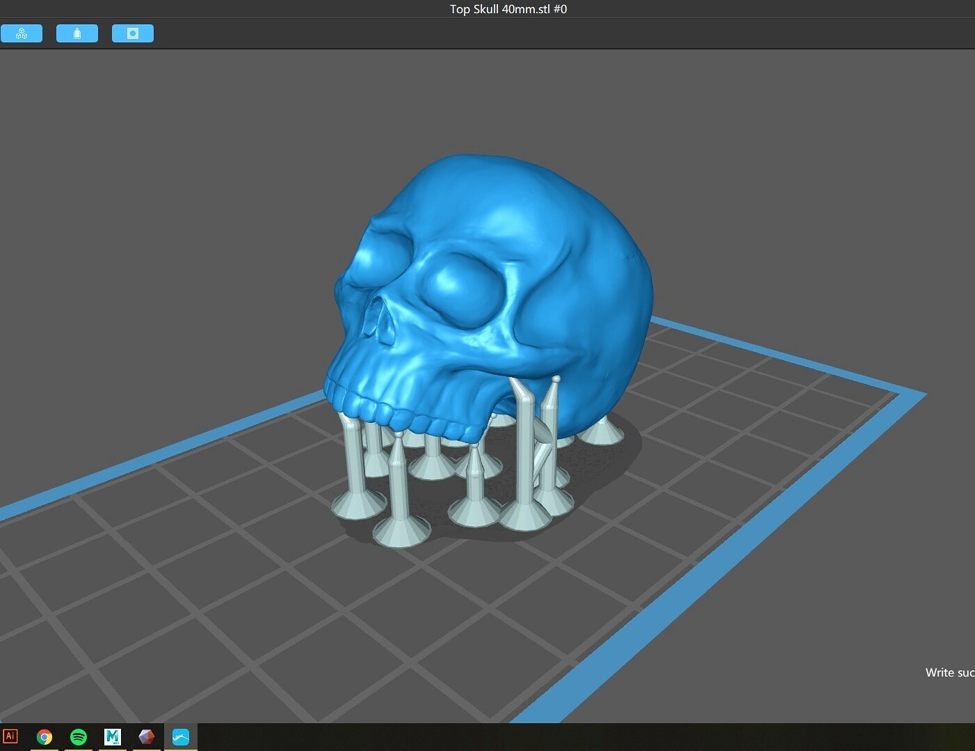 STL file Small Skull - top portion・3D printable design to download・Cults