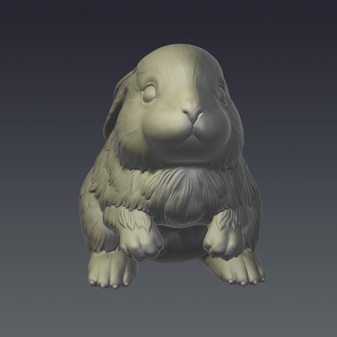 Download 3D printing models Rabbit ・ Cults