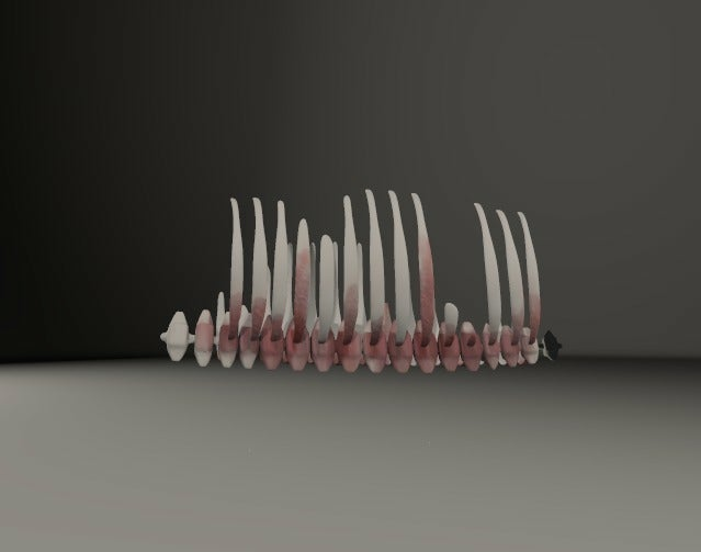 Free STL file carrion bones・3D printer design to download・Cults